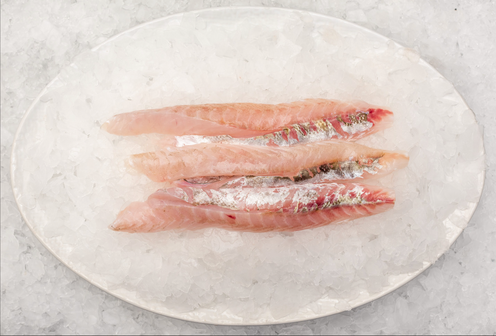 Best Fish – Fishcut Seafood