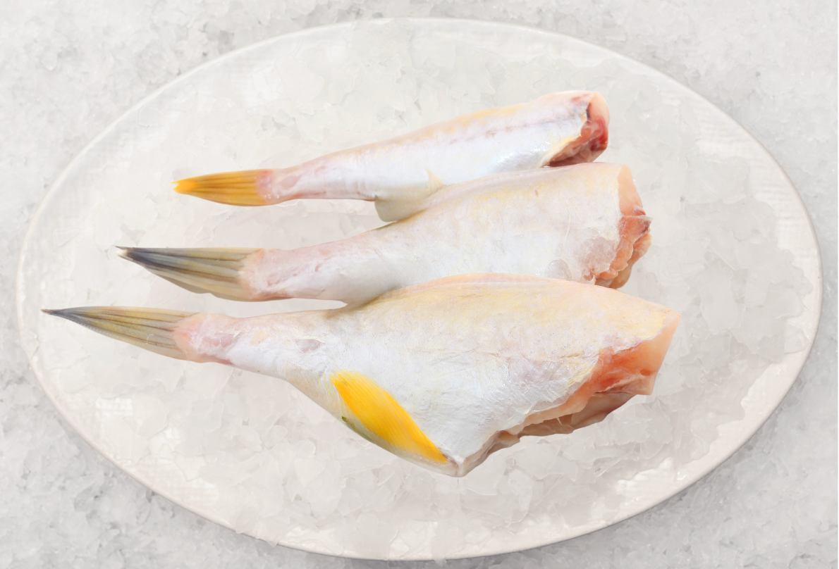 Leather Jacket Fish (1 KG) – Fishcut Seafood