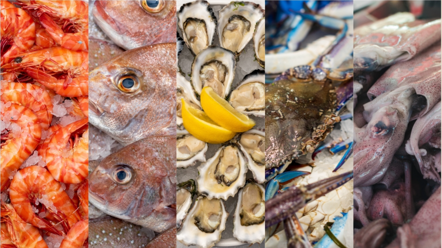Dubbo's Home of Fresh Seafood. – Fishcut Seafood