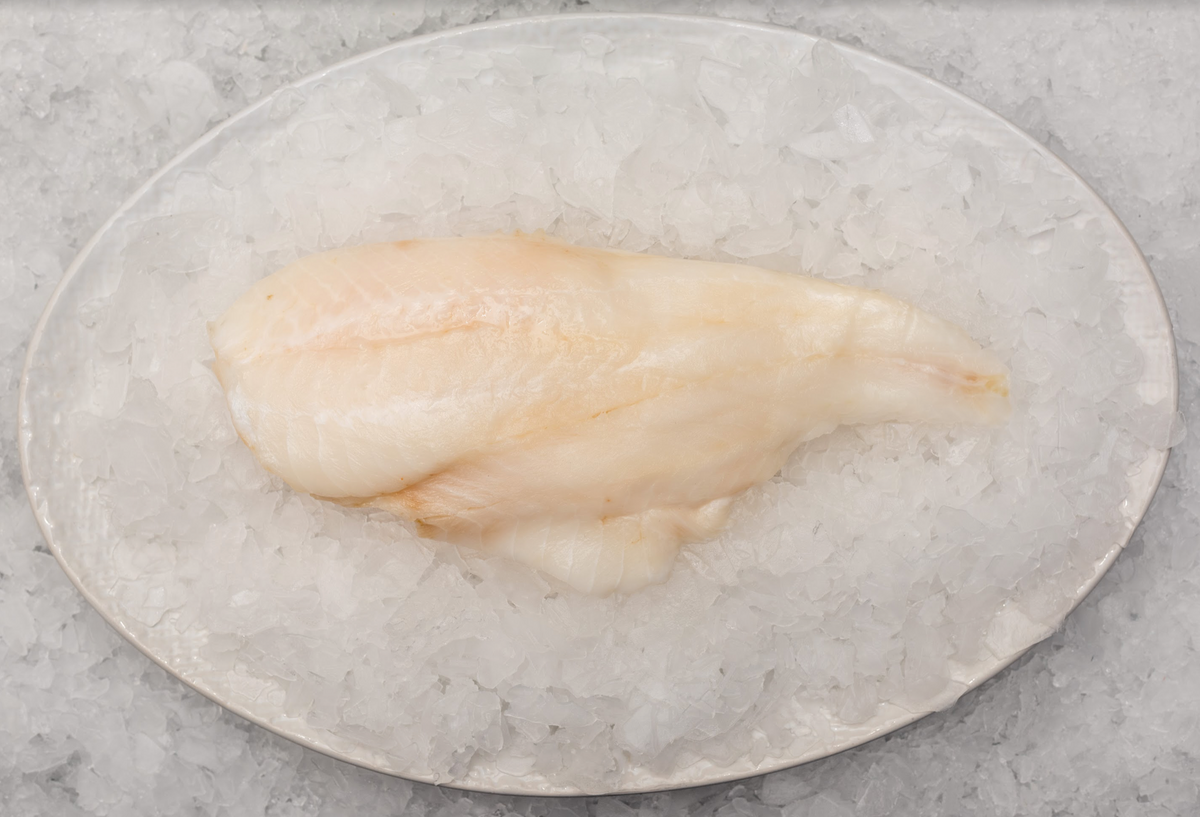 Best Fish – Fishcut Seafood